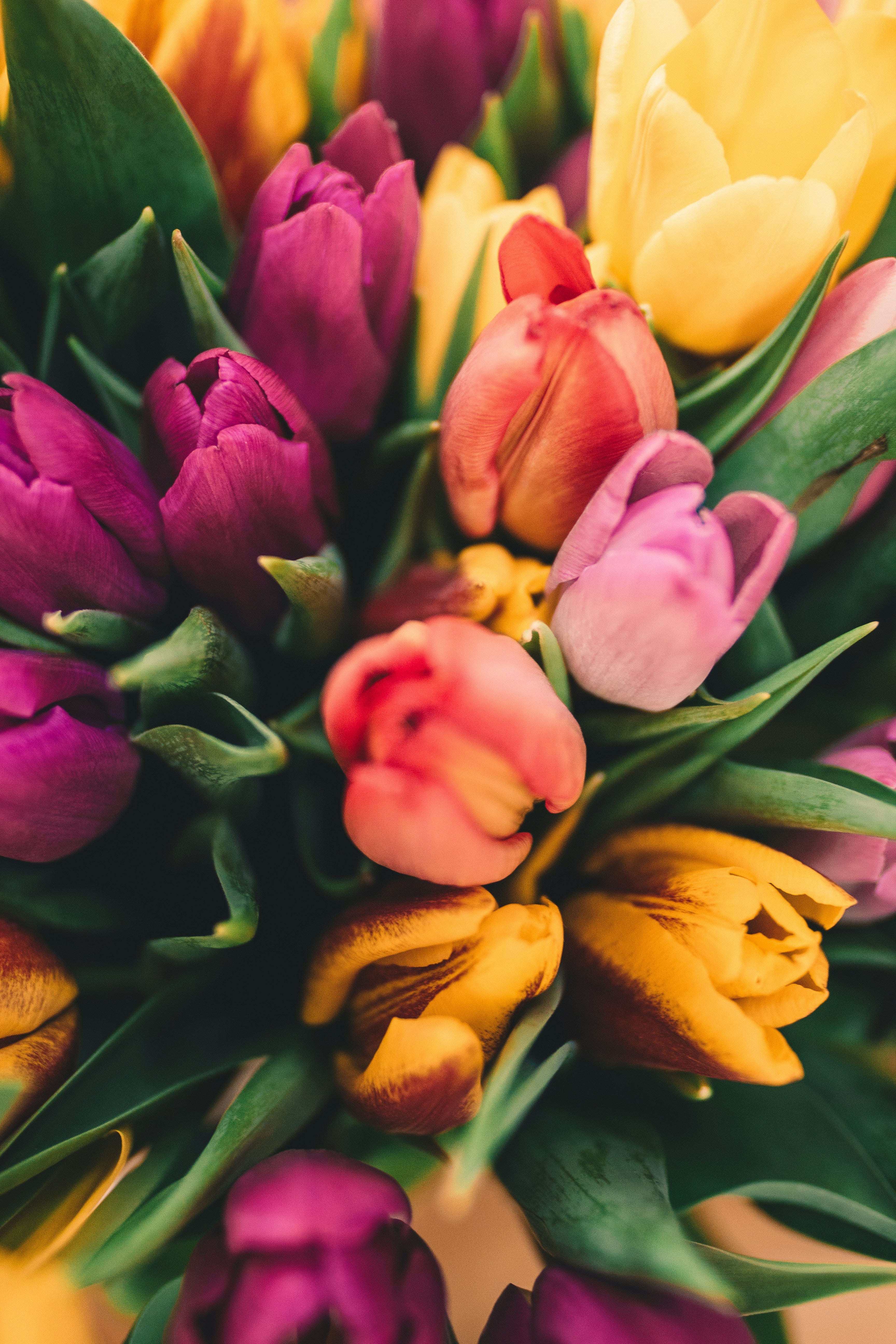 Spring edition 2024 – Visualaire Magazine